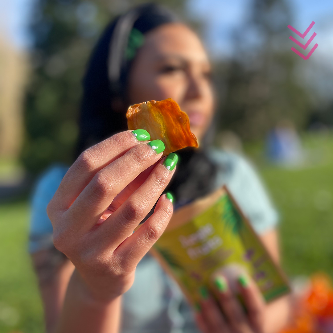 Gently Dried Jackfruit 6x25g | Jungle Fruits | Healthy Fruit Snacks